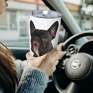 NHJKLWQSZ French Bulldog 20oz Stainless Steel Tumbler With Lid And Straw, Double Wall Vacuum Insulated Coffee Mug Travel Cups Leak-Proof Lid For Hot And Cold Drinks, Metal Straws And Brush