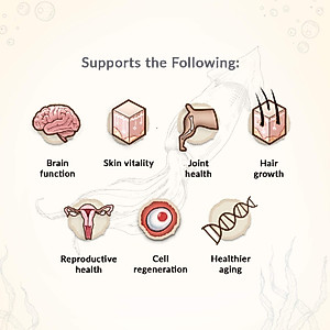 Dr. Dobias - Feelgood Omega Oil for Dogs, Calamari Oils, Non-Fish Liquid Omega 3 Fatty Acids for Dogs, for Coat, Joint & Immune Health, 6.7 fl Oz