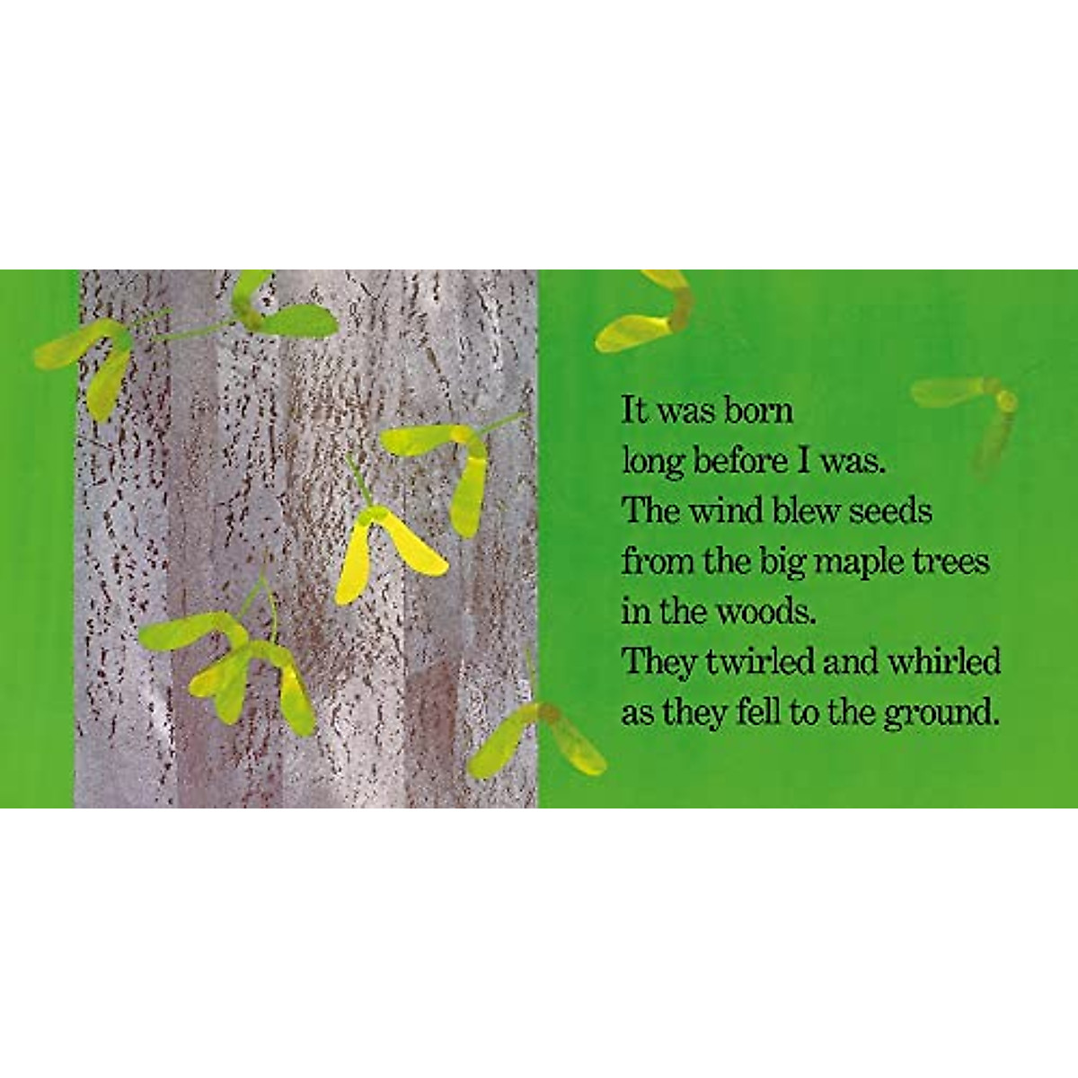 Red Leaf, Yellow Leaf