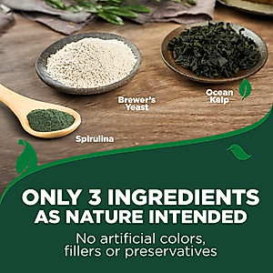 Vet’s Best Dental Powder for Dogs – Brush-Free Solution – Prevent Plaque & Tartar – Made with Natural Brown Seaweed & Brewer’s Yeast – Dog Teeth Cleaning Powder – 90 Day Supply (for 23-66lb Dogs)