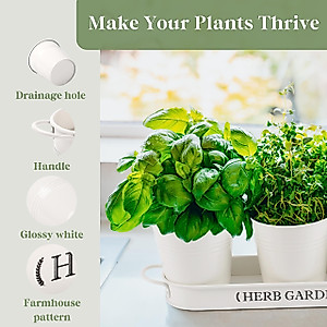 PERFNIQUE Indoor Herb Garden, Herb Garden Planter for Indoor/Outdoor, Farmhouse Plant Pots, Windowsill Herb Garden with Tray(Planter only) Window Pots