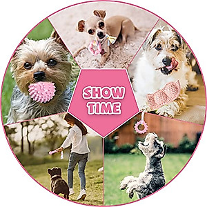 ABRRLO Puppy Toys 6 Pack Puppy Chew Toys for Teething Small Breed Dog Toys for Small Puppies Cute Pink Small Dog Chew Toys Soft Rubber Durable Puppy Teething Toys Interactive Pet Dog Toys Set