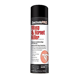 Spectracide PRO Wasp& Hornet Killer 18oz (Pack of 12)