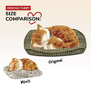Perfect Petzzz Mini Orange Tabby Kitten, Kitty Toys for Girls, Boys, & Elderly, Realistic Cat Stuffed Animals, Battery-Operated Fake Cat Electronic Pets
