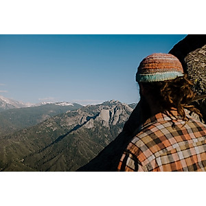 Conifers of The Sierra Nevada | Collection of 5 Live Tree Seedlings | The Jonsteen Company