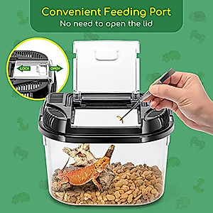 Plastic Reptile Terrarium, Nobleza Reptile Tank with Handle for Lizard Hermit Crab Turtle, Portable Reptile Enclosure for Tarantula Spider Tortoise Cricket, Medium Critter Keeper for Small Animal