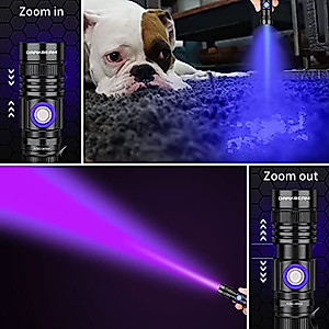 DARKBEAM UV Flashlight 365nm & 395nm Blacklight Rechargeable USB, Wood’s Lamp Ultraviolet Black Light LED Portable with Clip - Detector for Pet Cat Urine, Stains, Resin Curing, Uranium Glass, 2 Pack