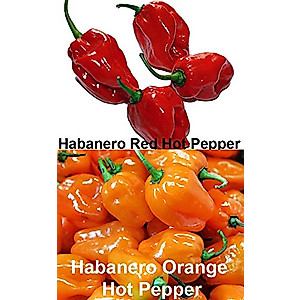 PLEASE READ! THIS IS A MIX!!! 30+ Hot Pepper Mix Seeds, 16 Varieties Heirloom NON-GMO Habanero, Tabasco, Jalapeno, Yellow and Red Scotch Bonnet, Ships from USA! US Grown.