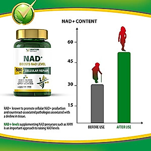 vantein NAD Supplement 500MG, Supports Skin Health, Healthy Aging, Boost NAD Levels, Muscle Health, Promotes Immune