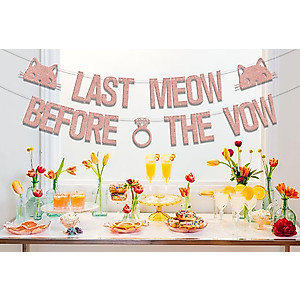 Last Meow Before the Vow Banner, Cat Themed Bachelorette Party Decorations, Bridal Shower Engagement Party Decorations, Hen Wedding Party Supplies Rose Gold