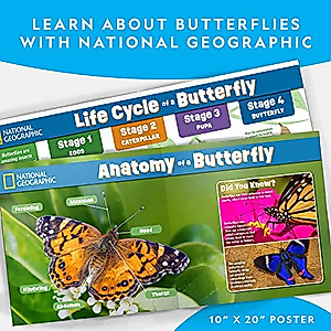 NATIONAL GEOGRAPHIC Butterfly Growing Kit - Butterfly Habitat Kit with Voucher to Redeem 5 Caterpillars ($10.95 S&H Not Included), Butterfly Cage, Feeder (Amazon Exclusive)