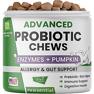 Dog Probiotic Chews for Dogs - Digestive Support w/Enzymes, Probiotics, Prebiotics and Pumpkin - Stool Quality and Consistency - Gas, Constipation, Diarrhea Relief 101ct - Bacon