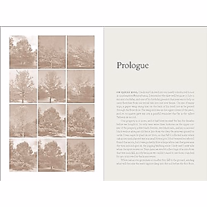 The Nature of Oaks: The Rich Ecology of Our Most Essential Native Trees