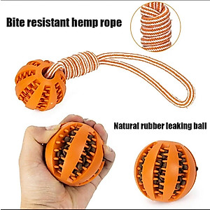 Generic Puppy Toys Interactive Dog and cat Toys Balls for Small Medium Dogs Chew Teething Teeth Cleaning Treat Dispensing (1pack) Durable Rubber Ball Dog Rope Toy for Tug of War Playing (Red)