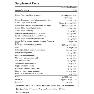 ANDREW LESSMAN Prenatal Essentials 360 Capsules - Complete Prenatal Vitamins for Women, No Additives Prenatal Multivitamin, Nutrients for Womens Prenatal & Postnatal - Methylfolate Prenatal with Iron
