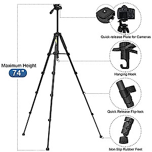 Endurax 74 Camera Tripod for Canon Nikon Sony, DSLR Tripod Stand Tall with Phone Mount and Carry Bag