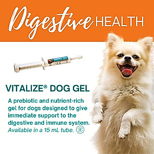 Vitalize Dog Gel - After Surgery Recovery & Probiotics Alternative Immune Support Booster Supplement for Dogs Digestive & Gut Health - Liquid Gel Paste (15 ml)