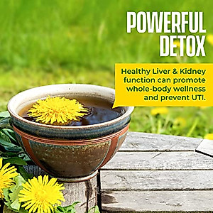 Dandelion Root Tea Detox Tea - Raw Organic Vitamin Rich Digestive (Dandelion Root, 20 Count (Pack of 3))