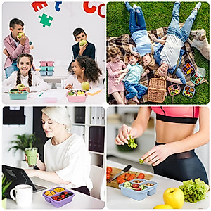 Globright Snack Box Containers 4 Pack, 3 Compartments Bento Box for Kids, Lightweight Adults Lunch Containers, Meal Prep Containers Reusable BPA Free (wheat)