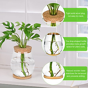 onepeng Propagation Stations, 2 Pcs Glass Planters with Wooden Tray & Lid, 5.2x4.2 inches, for Hydroponic Plants, Home Decor, Gardening Gifts for Women