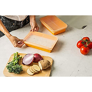 (2 Pack) Large Silicone Freezer Containers For Soup, Pasta Sauce, Leftovers, Broth & More - 6 Cup Reusable BPA Free Non Plastic Food Storage Freezing Trays With Lids & Measurement Lines (2 Pack)