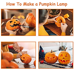 Youeon 10 Pcs Halloween Pumpkin Carving Kit with Carrying Case, Professional Stainless Steel Carving Tools for Halloween Decoration, Pumpkin Carving Tools Set