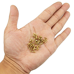 Rrina 1150Pcs M2 M3 Gold Plate Carbon Steel Small Screws Phillips Flat Head Cross Self Tapping Tiny Screw Cabinet Electronic Accessories Screw DIY Micro Woodworking Mini Screw Assortment Kit