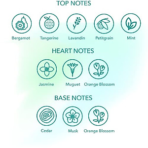 Boiess Colognes Poppy mint For Moms, Babies & Kids | Natural Eau de Cologne | Clean & Fresh Scent | Children Fragrance For Soft & Sensitive Skin | Easy Use, Gentle on Baby | Size: 8.5 FL Oz