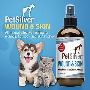 PetSilver Wound & Skin Spray - Chelated Silver, Superior to Colloidal Silver - Dog Wound Spray, Hot Spot, Allergy Relief for Dogs, Itch Spray for Cats - Natural Skin Soother - Made in USA - 8 fl oz
