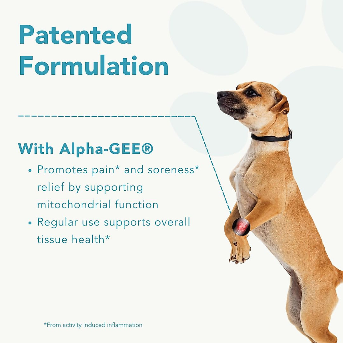 CANINE ACTIV Dog Joint Pain Relief Activity-Induced Capsules, Dog Joint Supplement Small Breed, Hip and Joint Supplement for Dogs, Dog Joint Pills for Fast Relief from Activity-Induced Pain - 90 Ct