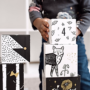 Wee Gallery Nesting Blocks - Woodland Animals and Numbers, Black and White Stacking and Building Toy for Toddlers and Kids, Motor Skills, Creative Play and Problem Solving for Children (Age 2 and up)