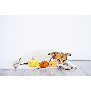 Pearhead Thanksgiving Dinner Dog Toys, Set of 3, Plush Dog Toys, Squeaky Dog Toy, Fall Pet Toys