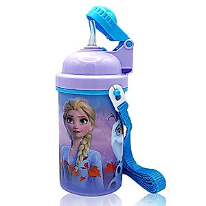 Zak Designs Disney Frozen One Touch Button Water Bottles with Reusable Built in Straw, Carrying Strap - Safe Approved BPA Free, Easy to Clean, for Kids Girls Boys, Goodies Home Travel