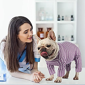 Etdane Small Dog Onesies Surgical Recovery Suit Long Shirt Pet Cold Weater Vest for Home Outdoor (X-Small, Purple Stripe-1)