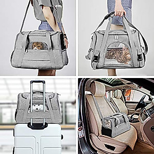 Prodigen Pet Carrier Airline Approved Pet Carrier Dog Carriers for Small Dogs, Cat Carriers for Medium Cat Small Cat, Small Pet Carrier Small Dog Carrier Airline Approved Cat Pet Travel Carrier