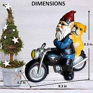 JHWKJS Garden Gnome with Lovely Dog Riding Motorcycle, Funny Outdoor Gnome Decoration Indoor Outdoor Lawn Figurines for Home Yard Décor