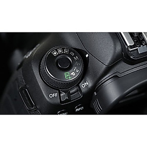 Canon EOS 5D Mark IV DSLR Camera with 24-105mm f/4L II Lens (International Model) (1483C010) W/Bag, Extra Battery, LED Light, Mic, Filters and More(Renewed)