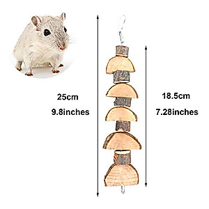 S-Mechanic Bunny Chew Toys Natural Apple Wood Small Animal Chew Toys for Rabbits Chinchilla Hamsters Guinea Pigs Gerbils (Pack 1)