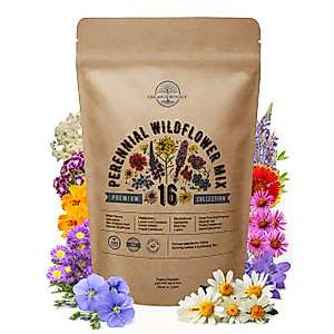 Organo Republic 16 Perennial Wildflower Seeds Mix for Indoor & Outdoors. 100,000+ Non-GMO, Heirloom Wildflower Garden Seeds, 4oz Packet for Growing Wild Flowers to Attract Bees, Butterflies & Birds