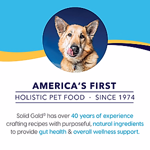 Solid Gold Canned Dog Food for Adult & Senior Dogs - Made with Real Chicken and Whole Grains - Star Chaser High Calorie Wet Dog Food for Healthy Digestion and Immune Support…