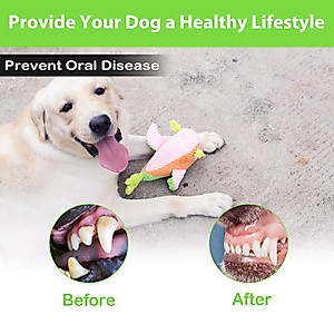 Cute Paws Cotton Plush Squeaky Dog Toys, Interactive Dog Chew Toys, Stuffed Puppy Chew Toys for Teeth Cleaning, Small,Middle,Large Dogs,Fish