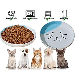 Ceramic Shallow Cat Food Dish, Cat Wet Food and Raw Meat Flat Cat Bowls; Stress Relief of Whisker Fatigue Cat Dishes, Wide Plate for Kittens Small Animals and Short Legged Munchkin Cat Set of 2