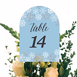 Big Dot of Happiness Winter Wonderland - Snowflake Holiday Party and Winter Wedding Double-Sided 5 x 7 inches Cards - Table Numbers - 1-20