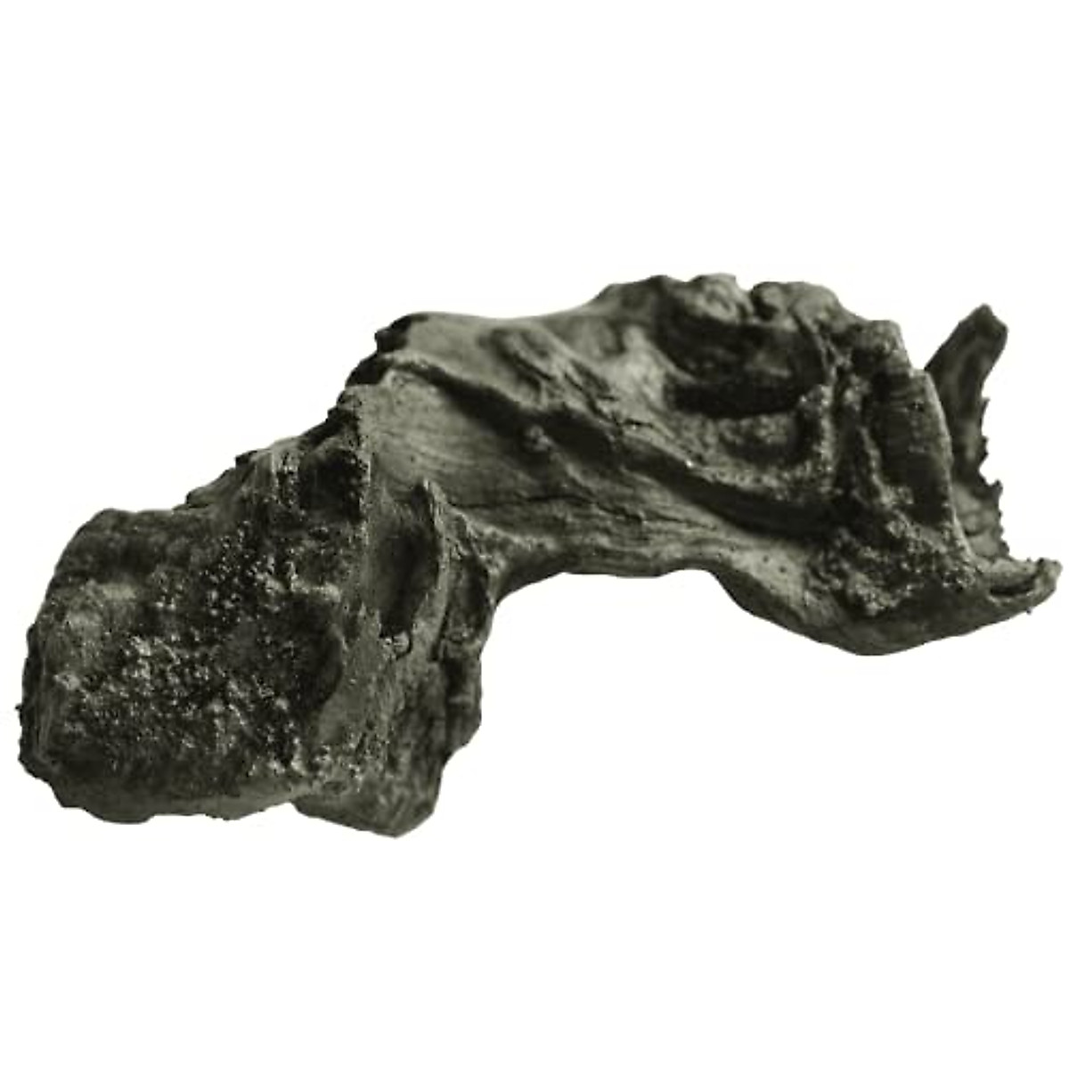 1shopforyou Random Selection Reptile Amphibian Habitat Decorative Garden Stakes 5X10 CM