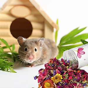 5.5 Oz Natural Flower & Herb Hamster Bedding, Small Animal Soft Flower and Dried Fruit for Hamster Cages and Habitat Decor, Flower Bedding Odor Control for Hamster Chinchilla and Other Small Pet
