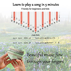 Acrylic Kalimba Thumb Piano,YUNDIE Portable 17 Keys Mbira Crystal Finger Piano, Musical Instruments Birthday Gift for Kid Adult Beginners Professional(Clear) (17 Keys)