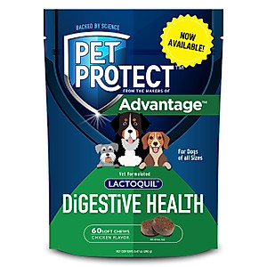 Pet Protect from The Makers of Advantage Vet-Formulated Dog Digestive Health Supplement | 60 Chews