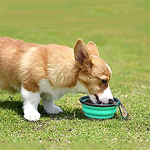 SLSON Collapsible Pet Bowl Dog Bowls 2 Pack, Portable Silicone Pet Feeder, Foldable Expandable for Dog/Cat Food Water Feeding, Travel Bowl for Camping (Light Blue+Light Green)