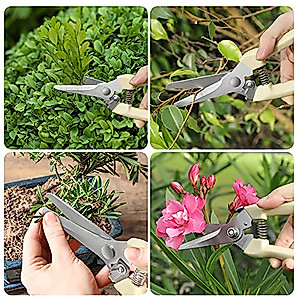 Premium garden shears, meperez pruning scissors gardening tools, pruners for flower, bushes, rose and fruit tree, use for florist, yard and orchard the plant clippers, sharp white steel anvil snips, 2