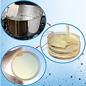 Sabouraud Dextrose Agar Powder 100grams - Evviva Sciences - Make Up to 75 Agar Petri Dishes - Premium Performance - Excellent for Mold & Fungus - Great for Mushrooms & Science Projects